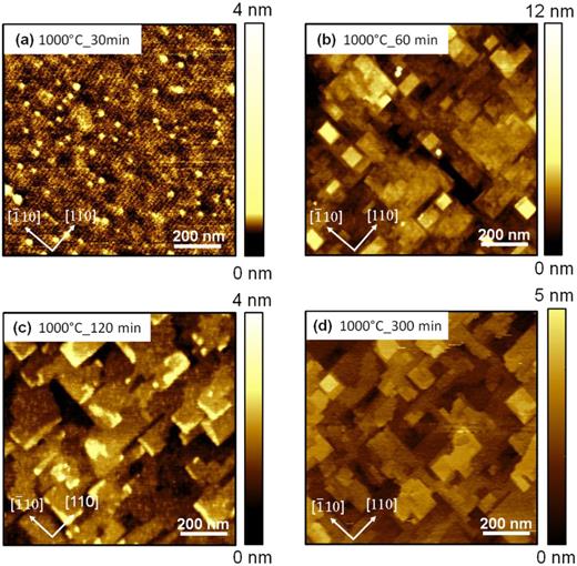Surface preparation and the evolution of atomically flat step terrace ...
