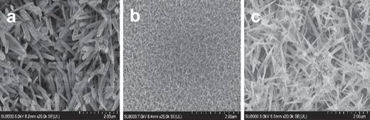 Fabrication and characterization of SnO2 nanorods for room temperature ...