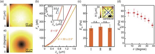 Calibrating the Young’s modulus of soft materials with surface tilt ...