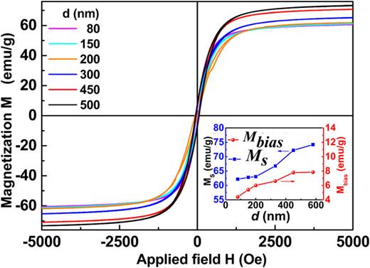 The effect of the particle size and magnetic moment of the Fe3O4 ...