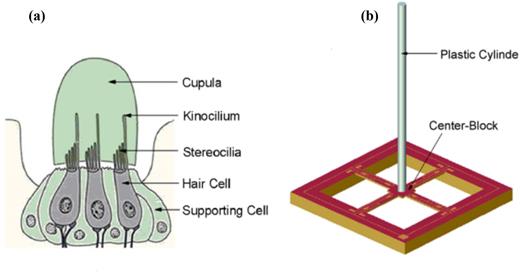 Design of a high SNR electronic heart sound sensor based on a MEMS ...