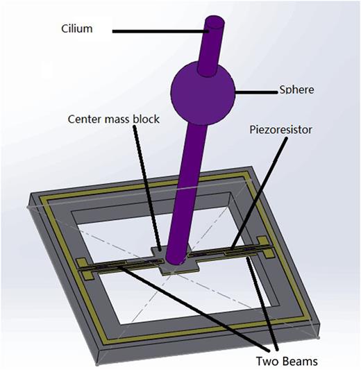 Design of a high SNR electronic heart sound sensor based on a MEMS ...