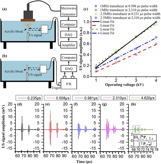 Microwave-excited hybrid thermoacoustic and ultrasound imaging with ...