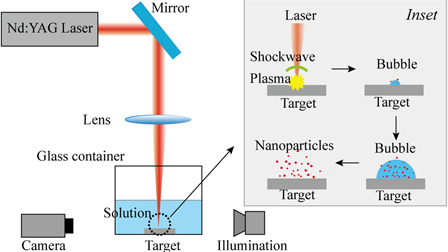 Pulsed laser ablation of bulk target and particle products in liquid ...
