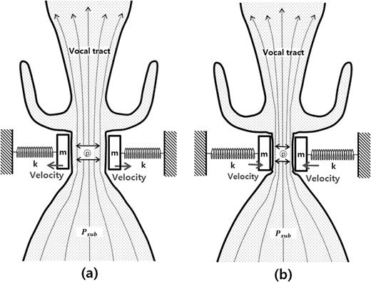 Understanding the multi-mass model and sound generation of vocal fold ...