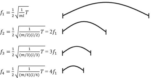 Understanding the multi-mass model and sound generation of vocal fold ...
