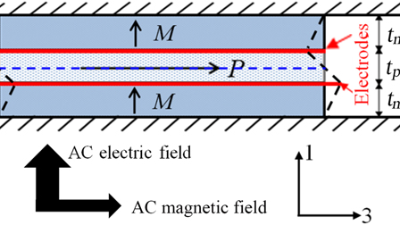Direct and converse magnetoelectric effects of sandwiched composites ...