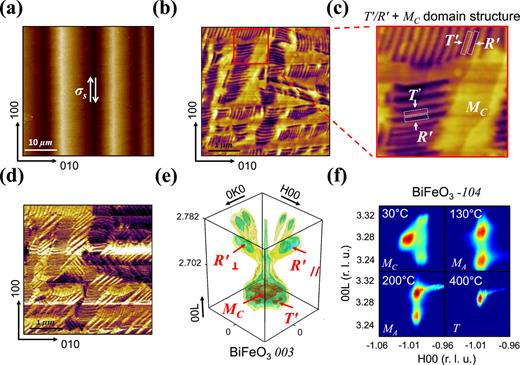 Shear strain-induced anisotropic domain evolution in mixed-phase BiFeO3 epitaxial films | AIP ...