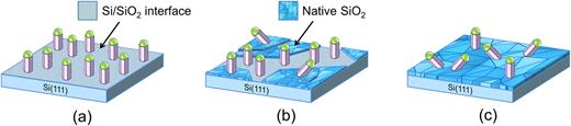 Surface evolution of native silicon oxide layer and its effects on the ...