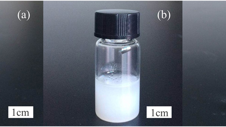 Preparation and application of solid polymer electrolyte based on deep ...