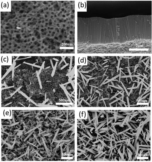 Photoelectrochemical characteristics of ZnO/ TiO2 nanoheterojunctions ...