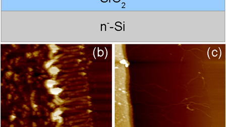 Incorporating aligned carbon nanotube electrode arrays in organic thin ...