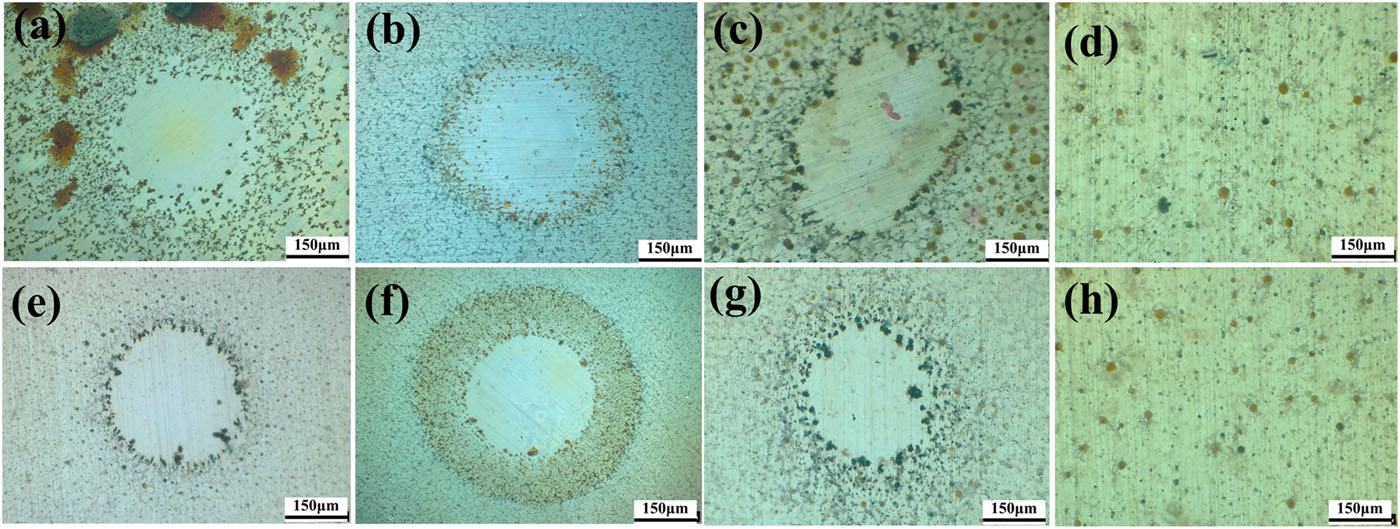 Erratum: “Electric field induced surface modification and ...