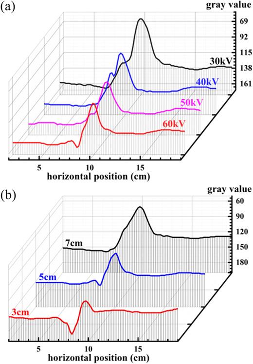 Development and morphological characterization of ion wind in an ...
