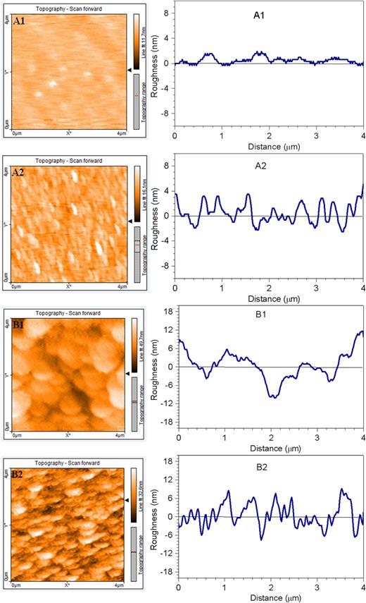 Characteristics of TiO2, Cu2O, and TiO2/Cu2O thin films for application ...