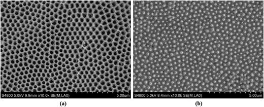 A flexible single-electrode-based triboelectric nanogenerator based on double-sided ...