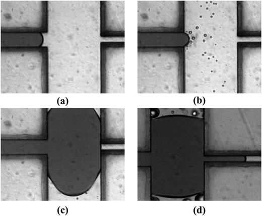 Passive microscopic fluidic diodes using asymmetric channels | AIP ...