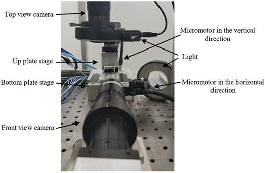 Formation of special liquid bridges between a single plate and parallel ...