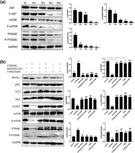 Helium low temperature plasma induced HepG2 cells autophagy through ROS ...
