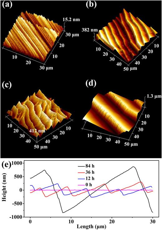 Evolution of surface morphology and optical transmittance of single ...