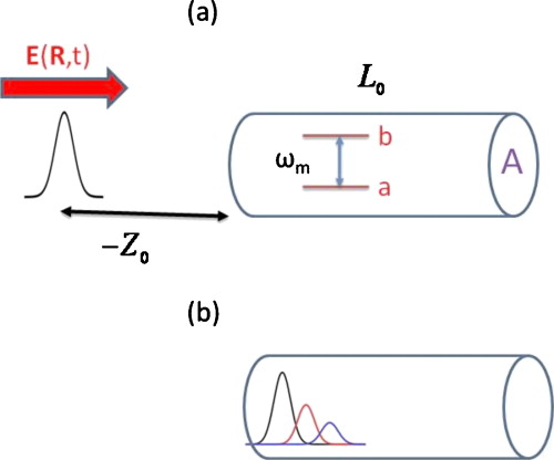Absorption of a pulse by an optically dense medium: An argument for ...
