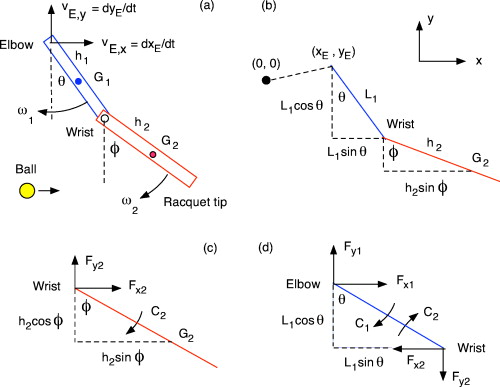 A double pendulum model of tennis strokes | American Journal of Physics ...