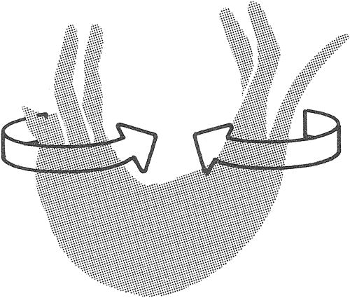 The electric cat: Rotation without net overall spin | American Journal ...