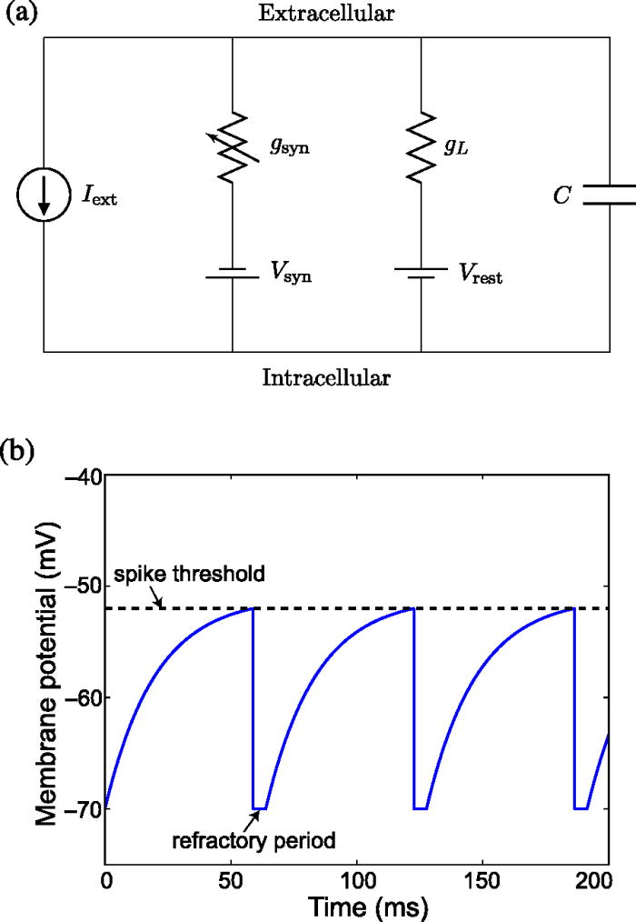 Simulating synchronization in neuronal networks | American Journal of ...