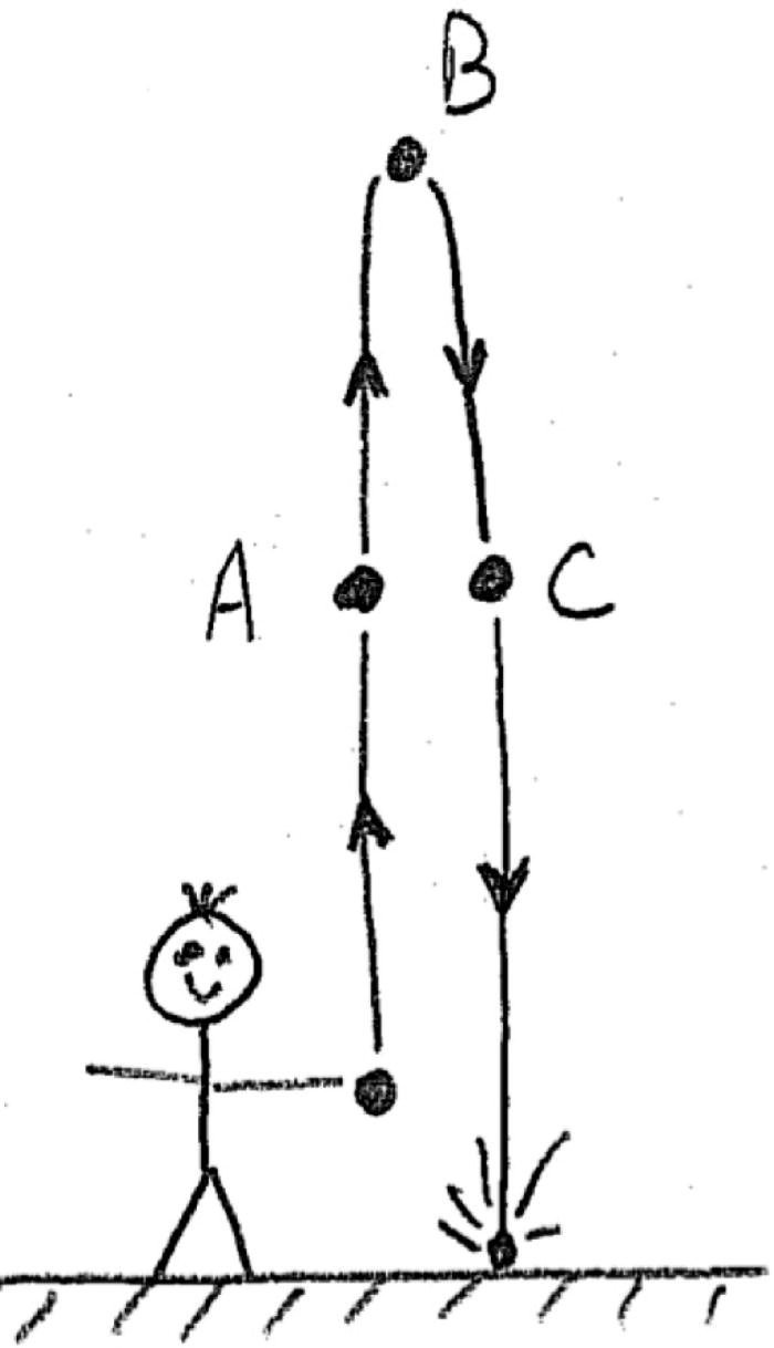 Effective variations of peer instruction: The effects of peer ...