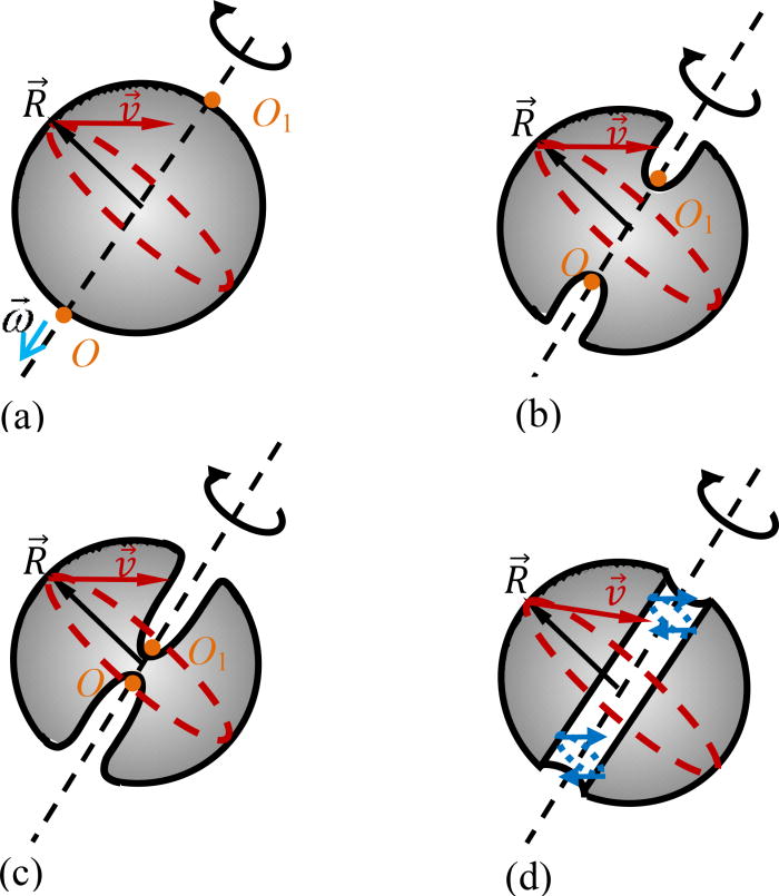Rotating and rolling rigid bodies and the “hairy ball” theorem ...