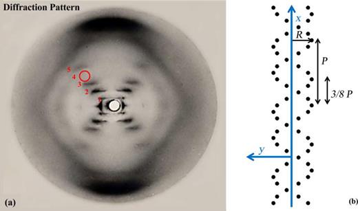Rosalind Franklin's X-ray photo of DNA as an undergraduate optical ...