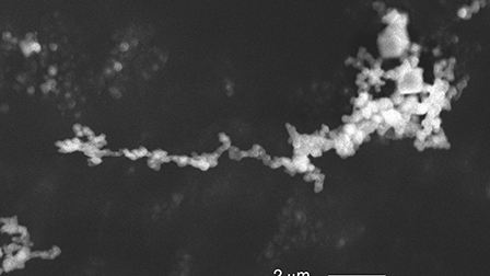 An economical smoke chamber and light-sheet microscope system for ...