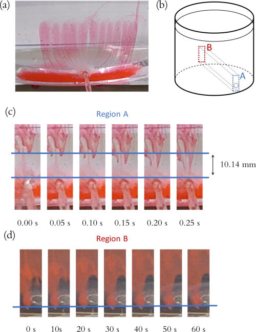 Torricelli's experiment and conservation of momentum | American Journal ...