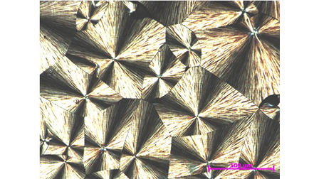 An undergraduate laboratory experiment on nucleation and growth via ...
