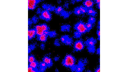 Agent-based Monte Carlo simulations for reaction–diffusion models ...