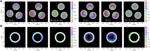 Physics-constrained 3D convolutional neural networks for electrodynamics | APL Machine Learning ...