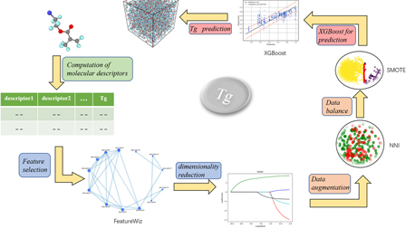 Glass transition of amorphous polymeric materials informed by machine ...