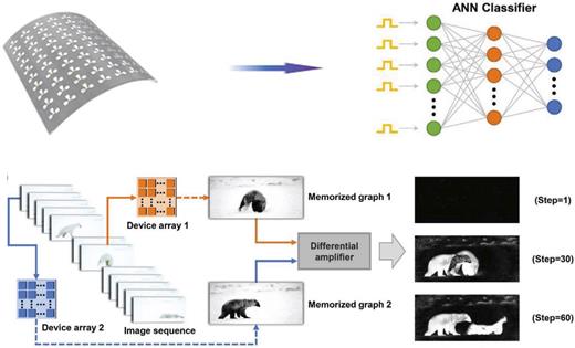 Flexible optoelectronic synaptic transistors for neuromorphic visual ...