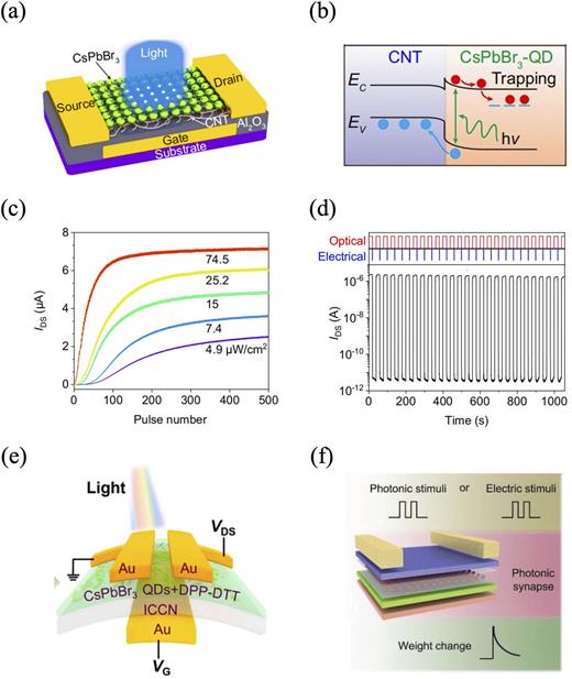 Flexible optoelectronic synaptic transistors for neuromorphic visual ...