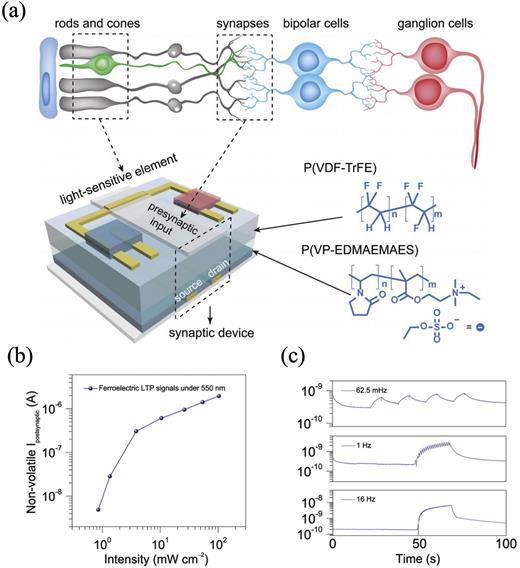 Flexible optoelectronic synaptic transistors for neuromorphic visual ...