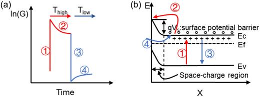 A deep learning approach for gas sensor data regression: Incorporating ...