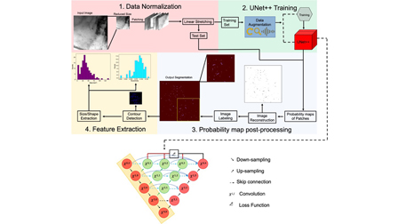 Deep learning-enabled probing of irradiation-induced defects in time ...