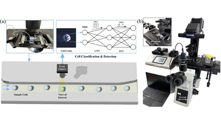 Cell detection with convolutional spiking neural network for neuromorphic cytometry | APL ...