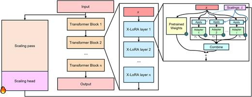 X-LoRA: Mixture of low-rank adapter experts, a flexible framework for ...