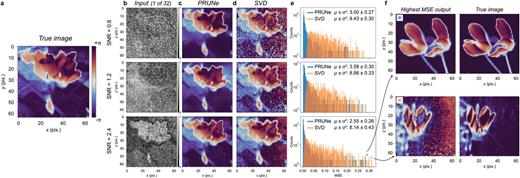 3D–2D neural nets for phase retrieval in noisy interferometric imaging ...