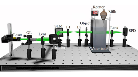 Dual-modality ghost diffraction in a complex disordered environment ...