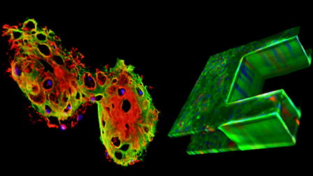 Editorial: Welcome to APL Bioengineering | APL Bioengineering | AIP ...