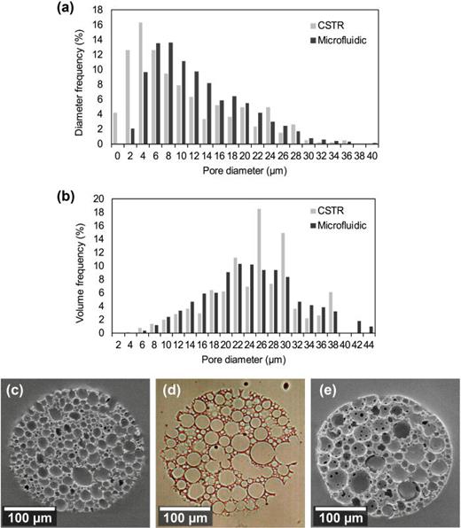 Porous microspheres support mesenchymal progenitor cell ingrowth and ...