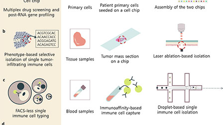 Divide and conquer: A perspective on biochips for single-cell and rare ...