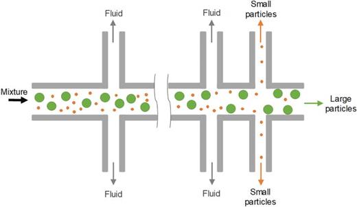 Label-free microfluidic sorting of microparticles | APL Bioengineering ...